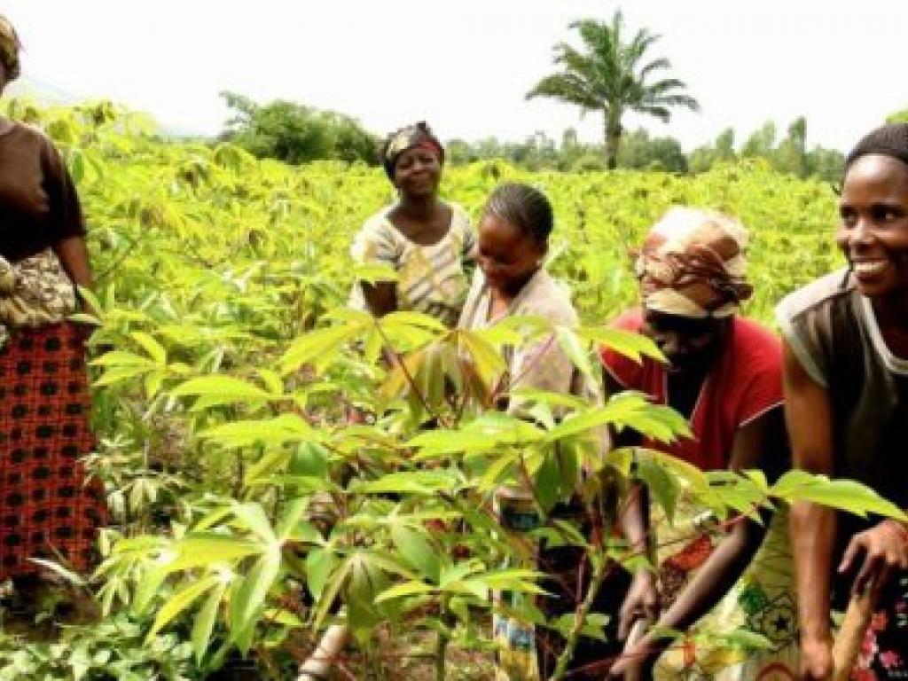 Le plus grand site d'information en république démocratique du congo