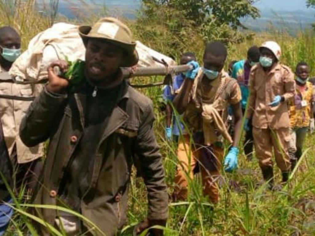 Le plus grand site d'information en république démocratique du congo