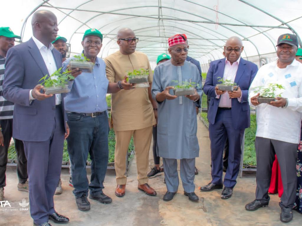 Le plus grand site d'information en république démocratique du congo